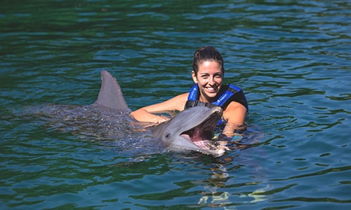 Xel-há Park Light | Delphinus